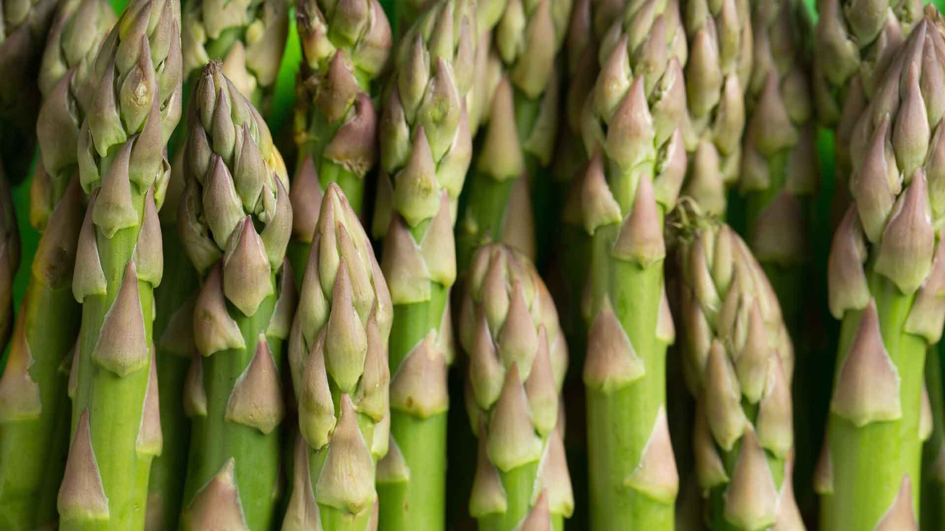 The Chopping Block | Chicago’s Top Cooking School & Culinary Events