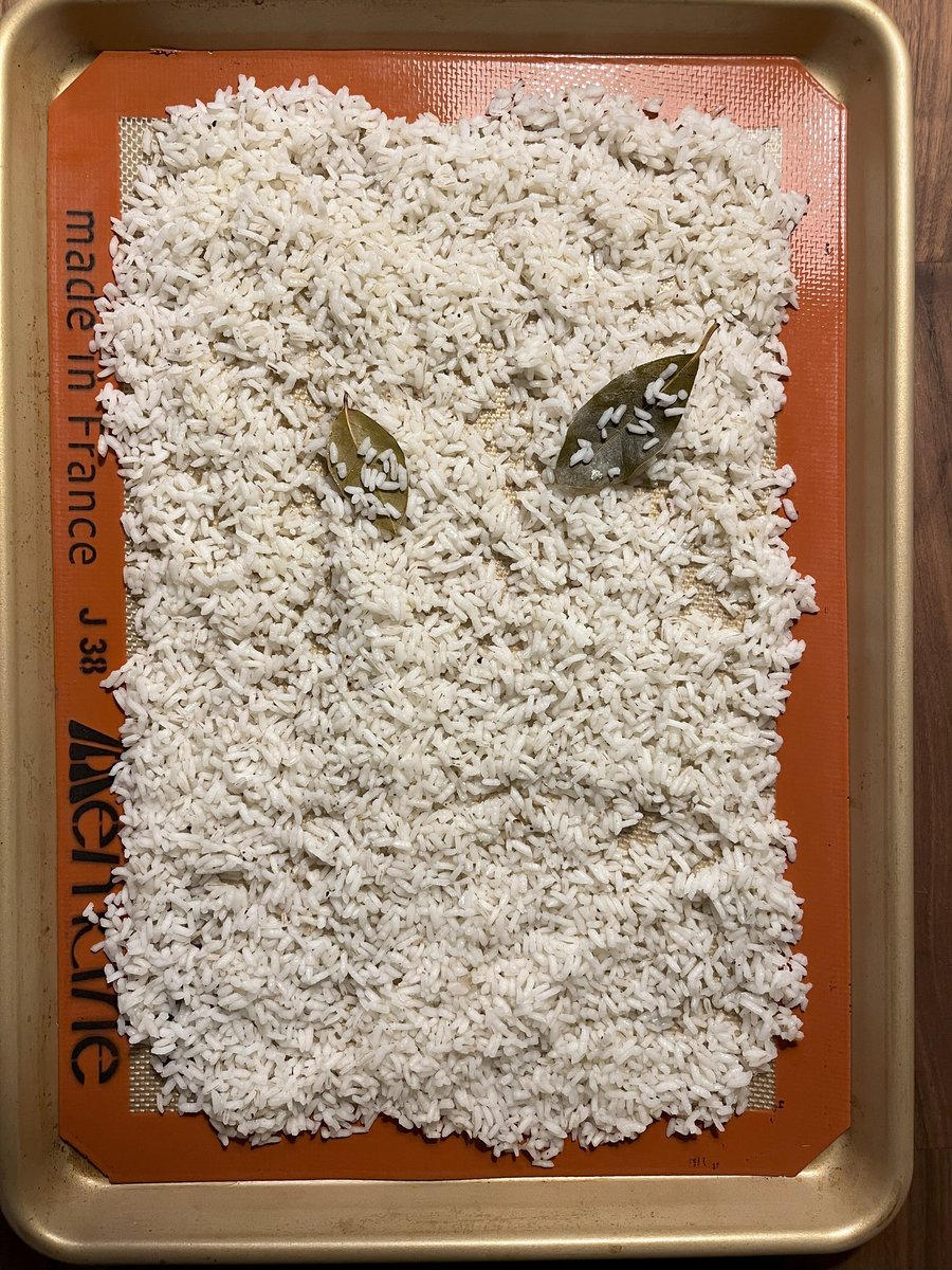 Carolina Gold Rice: Heirloom Grains and Heritage