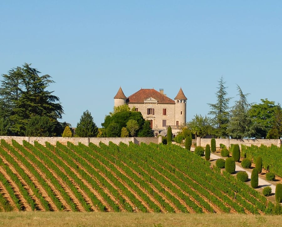What's So Great about Malbec?
