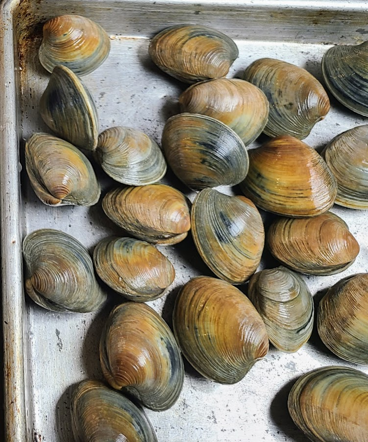 Love It or Hate It - Part 1