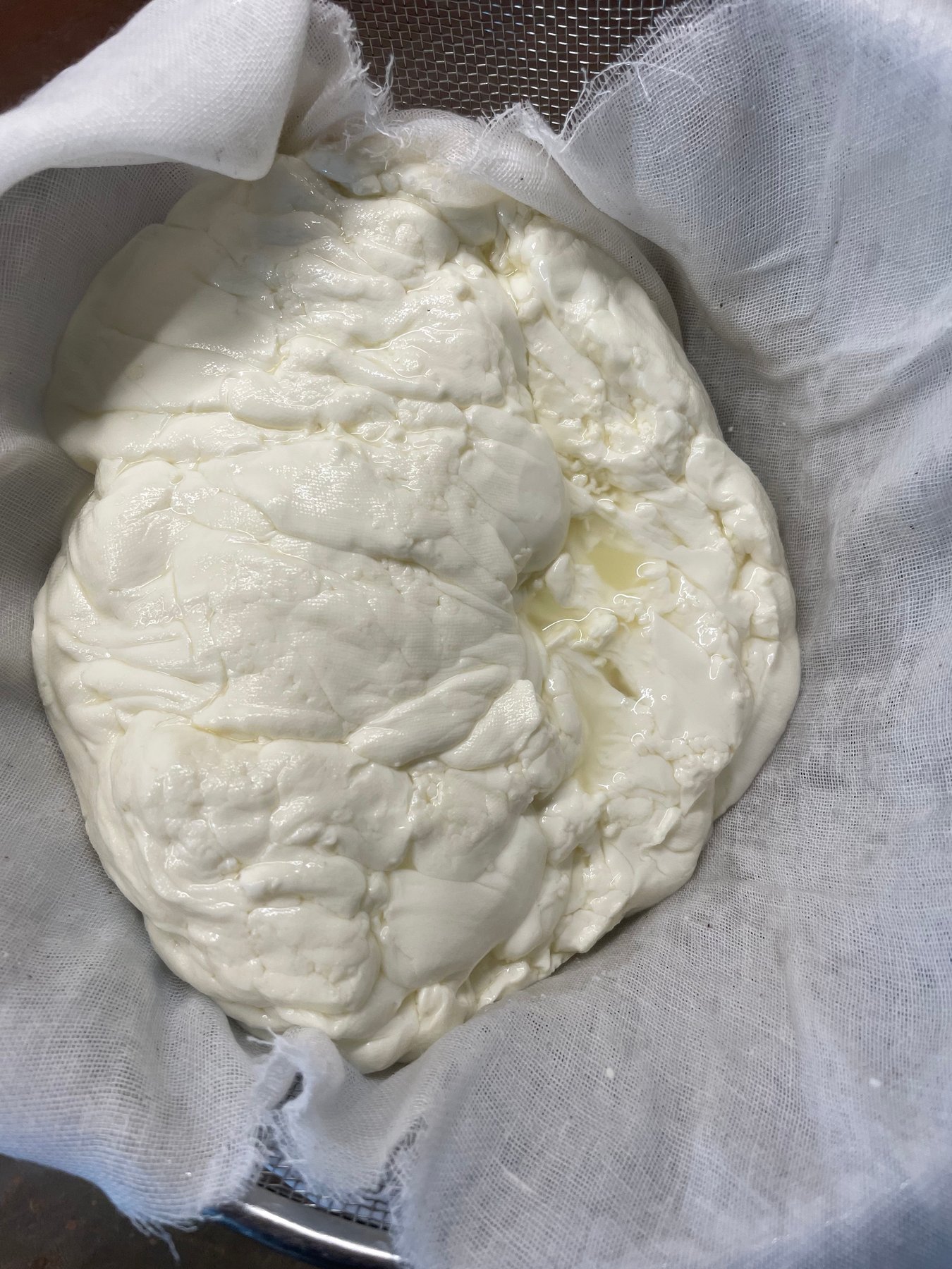 Cheese Trials Part Two: Burrata