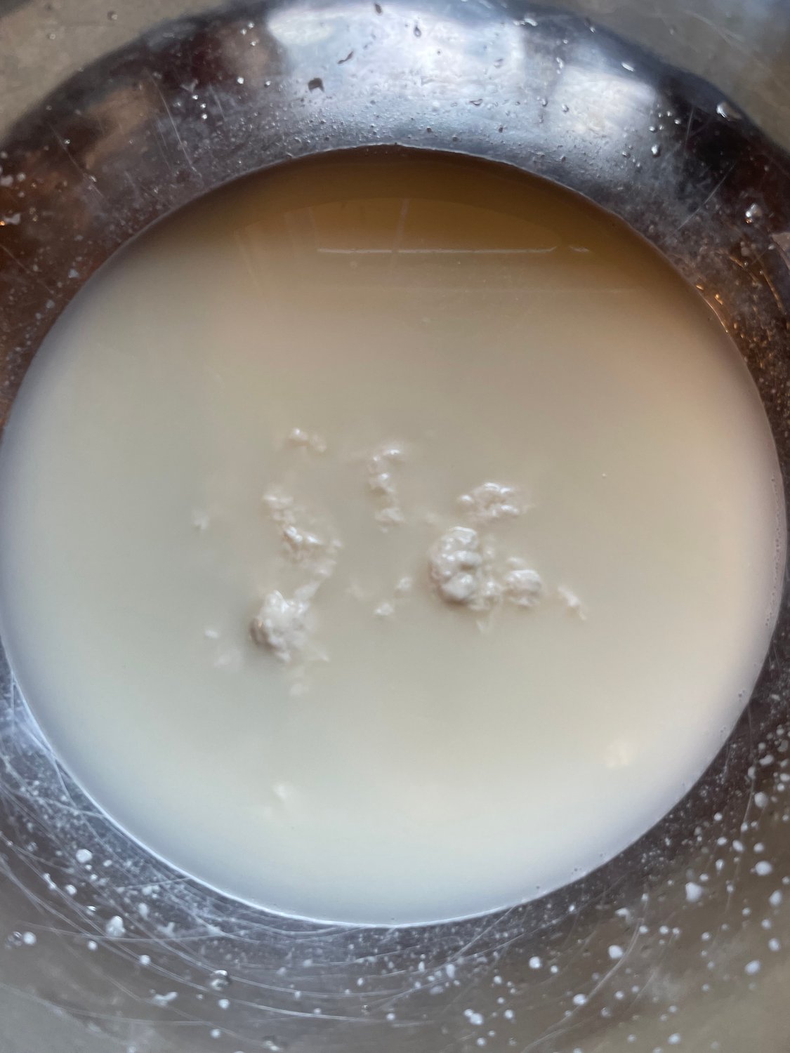 Cheese Trials Part Two: Burrata