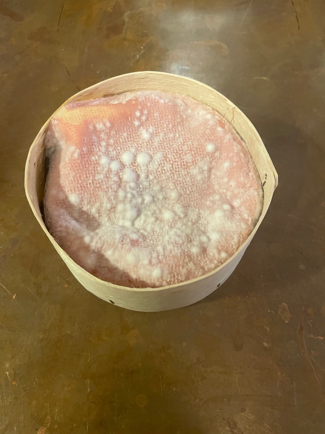 A Legendary Cheese to Warm up your Winter