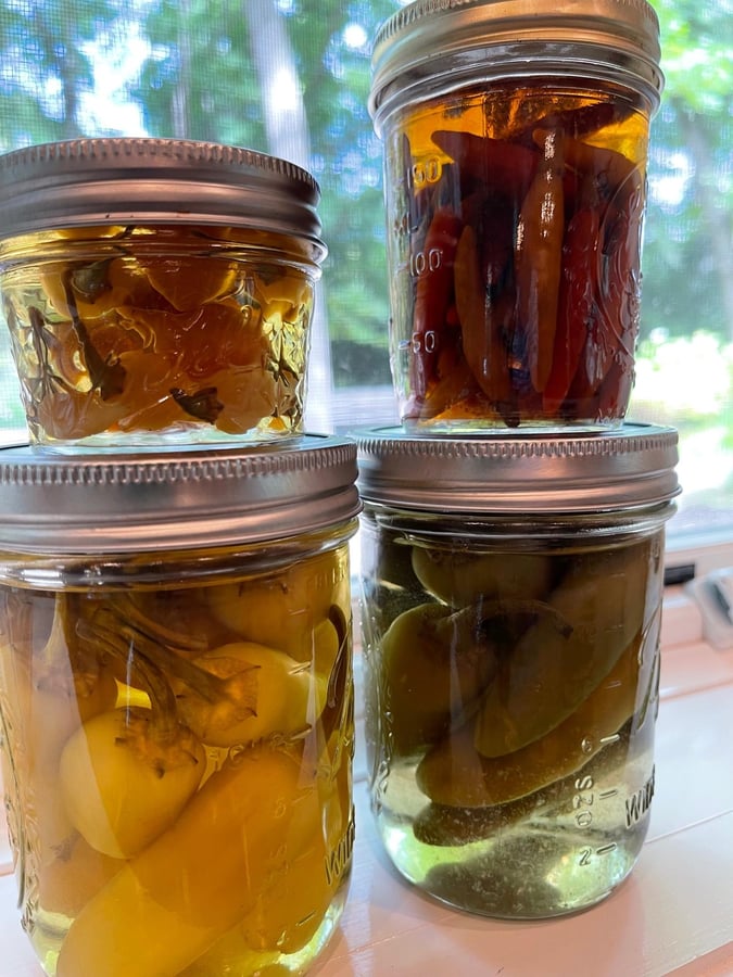 In a Pickle with a Peck of Peppers