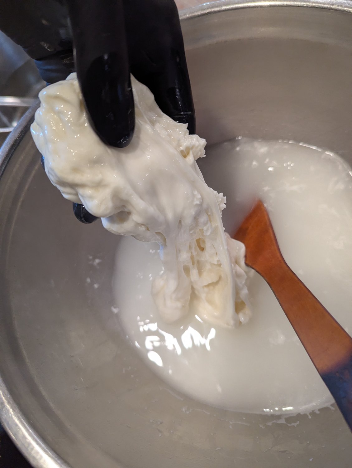 It's Easy Being Cheesy: Homemade Mozzarella