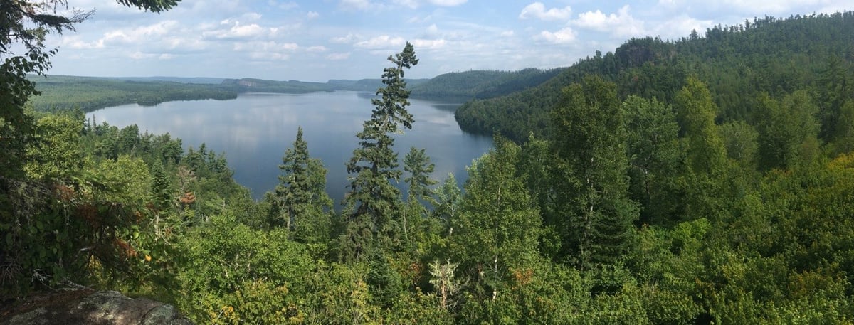 Take a Trip on the Wild Side