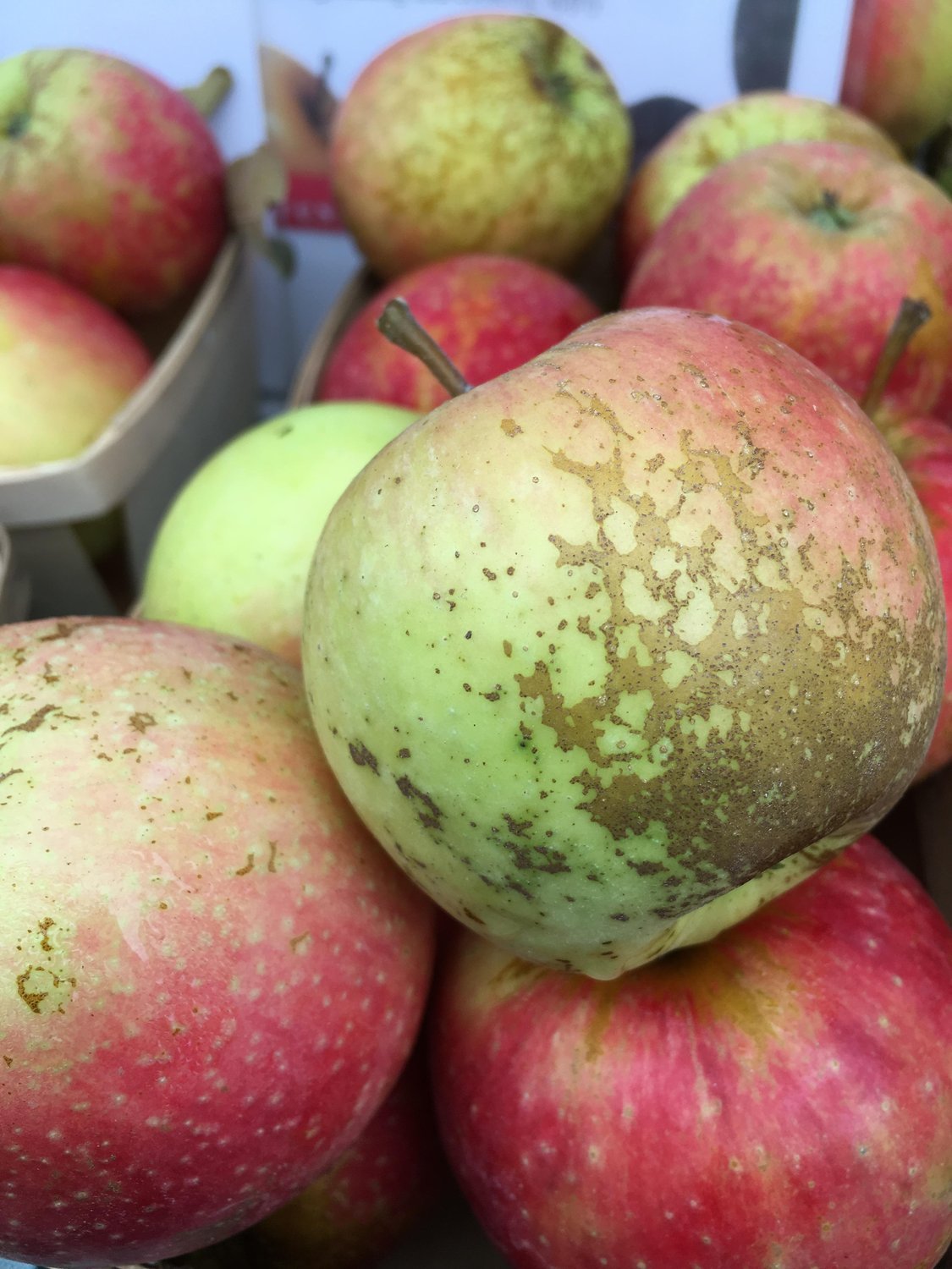 Perfectly Poached Fruit