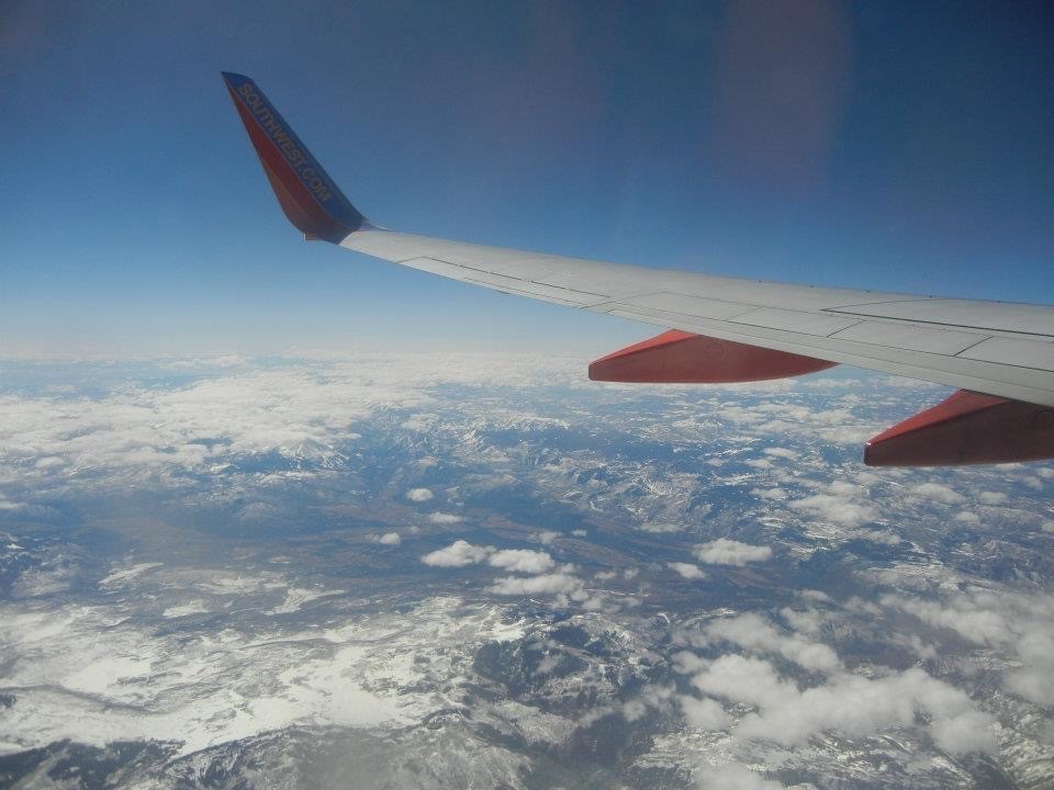 Homemade Biscoff Cookies