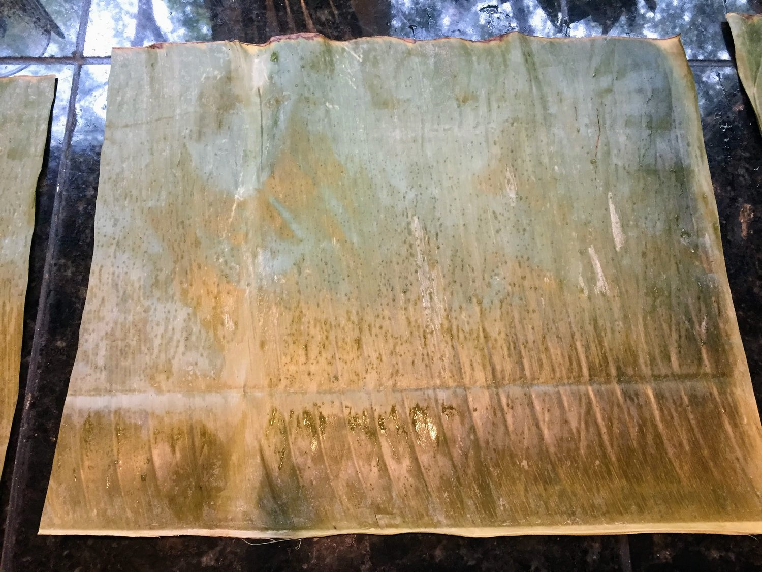 Achiote Grilled Fish in Banana Leaves