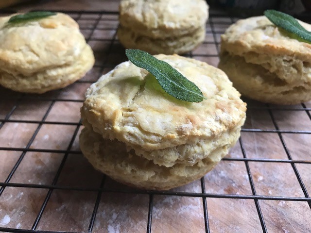Delicata Biscuits or "Delicuits" for Thanksgiving