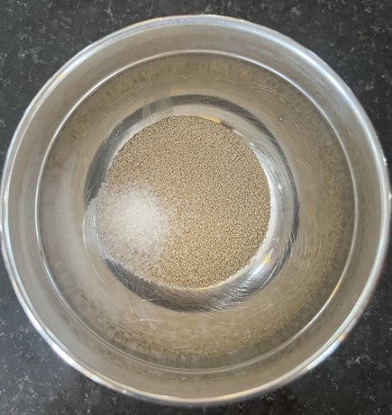 Everything You Need to Know about Yeast