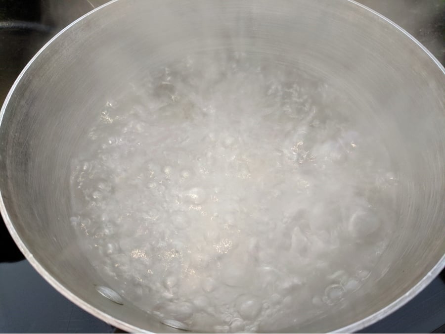 How to Grow a SCOBY and make Kombucha at Home