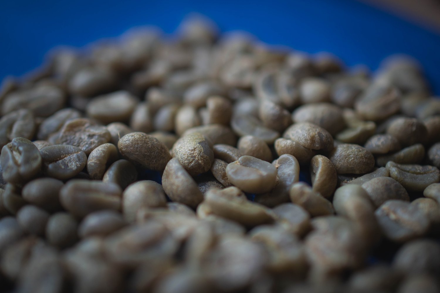 The Benefits of Drinking Bad Coffee