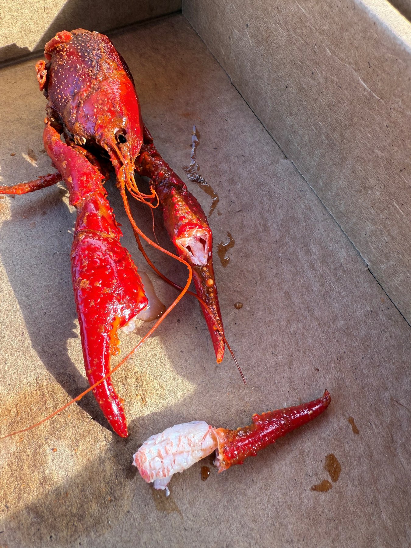 Crawfish 101: How to Boil, Peel, and Enjoy This Southern Delicacy