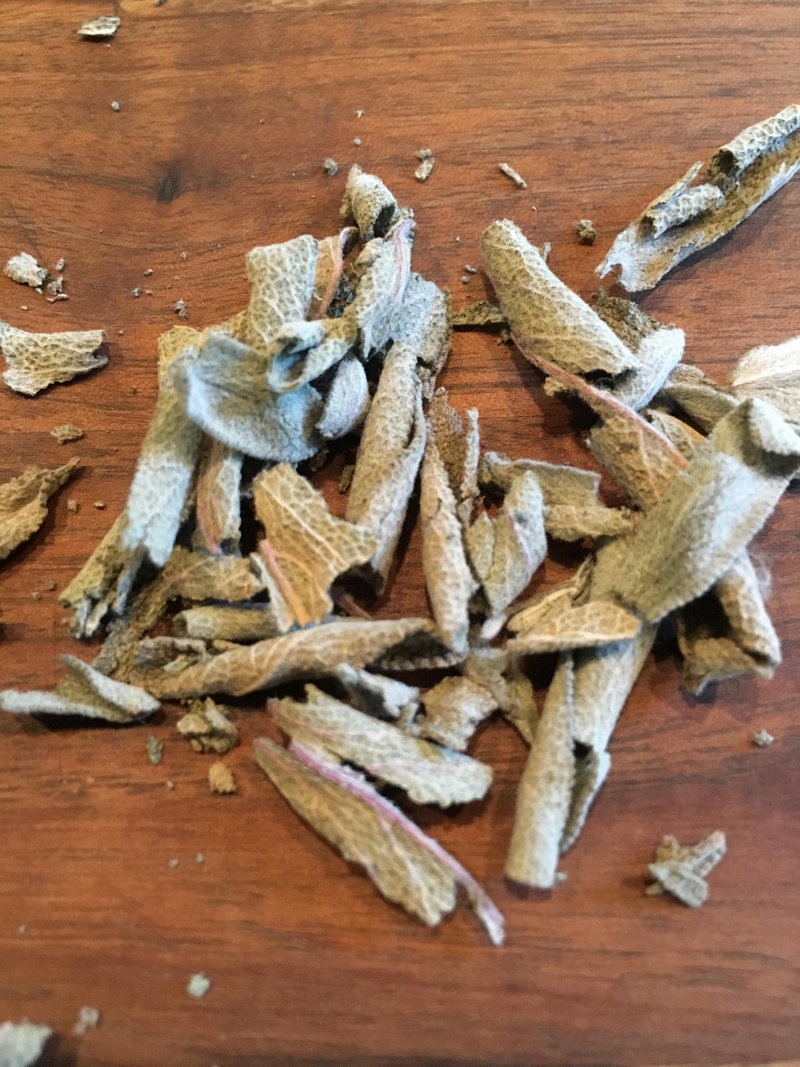 Drying Herbs and Using Dried Herbs