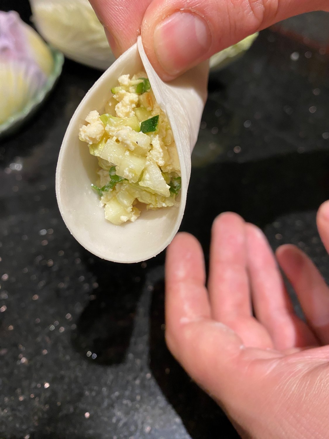 Easy Healthy Dumplings Children Can Make