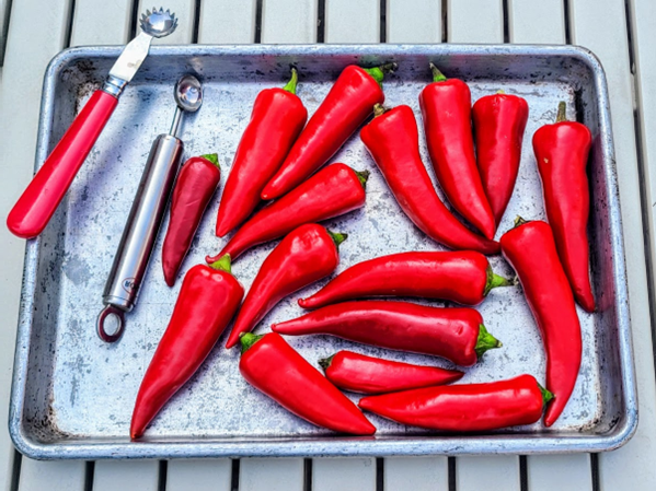 Stuffed Fresno Chiles: A Versatile Filling for Your Next Party