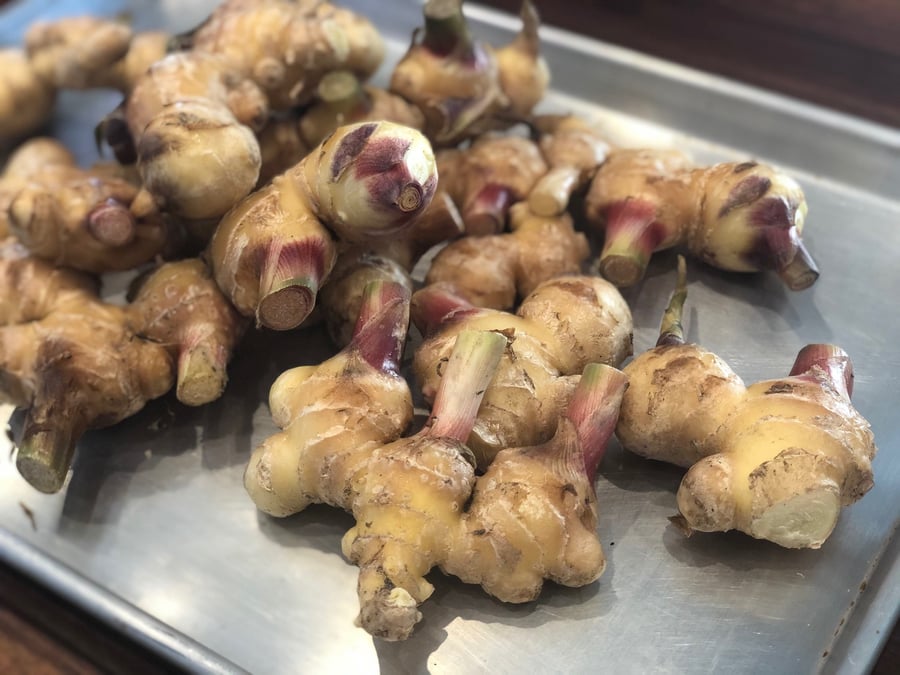 How to Make Pickled Ginger