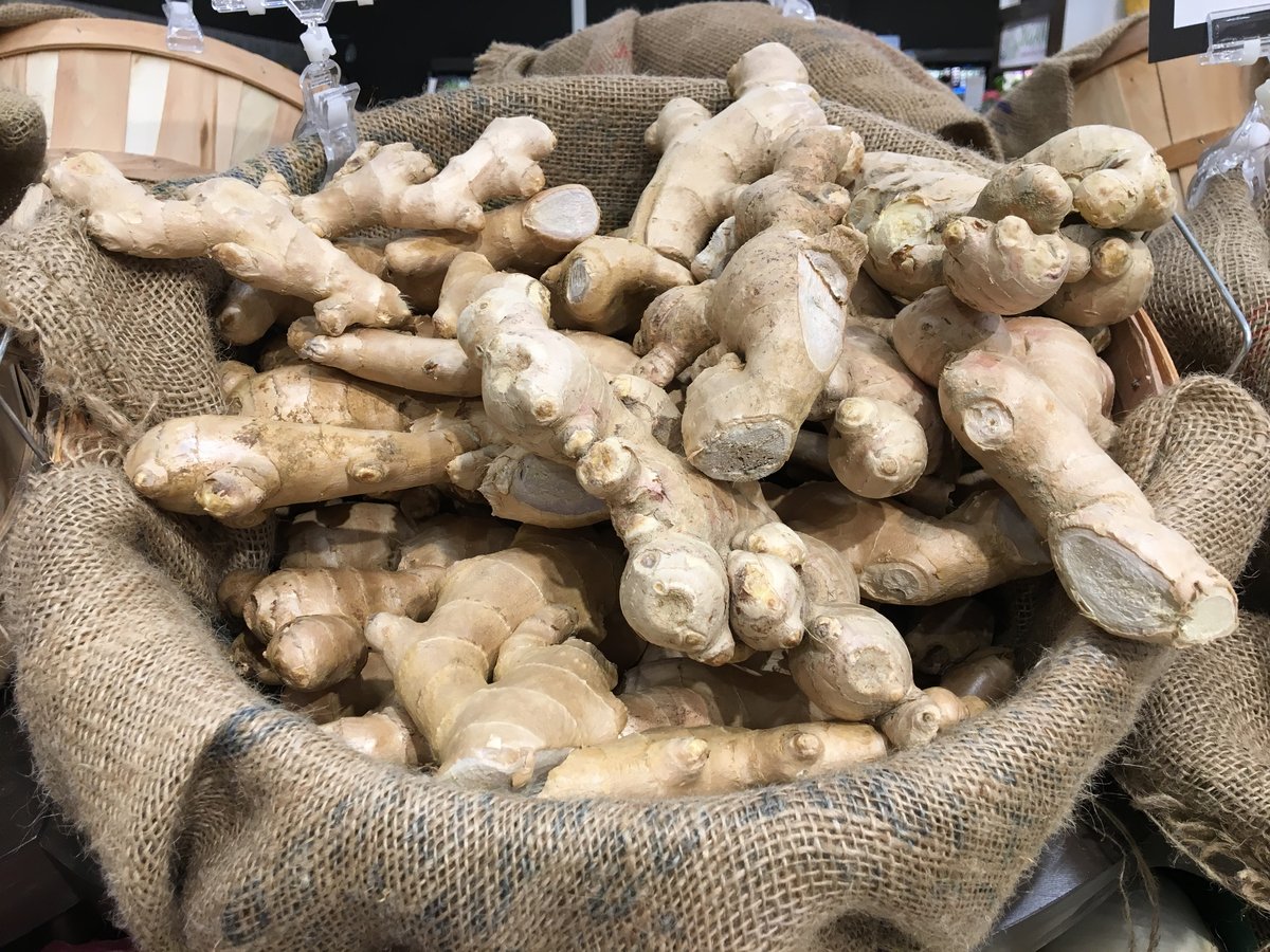 Rooting for Ginger Root