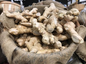 Rooting for Ginger Root