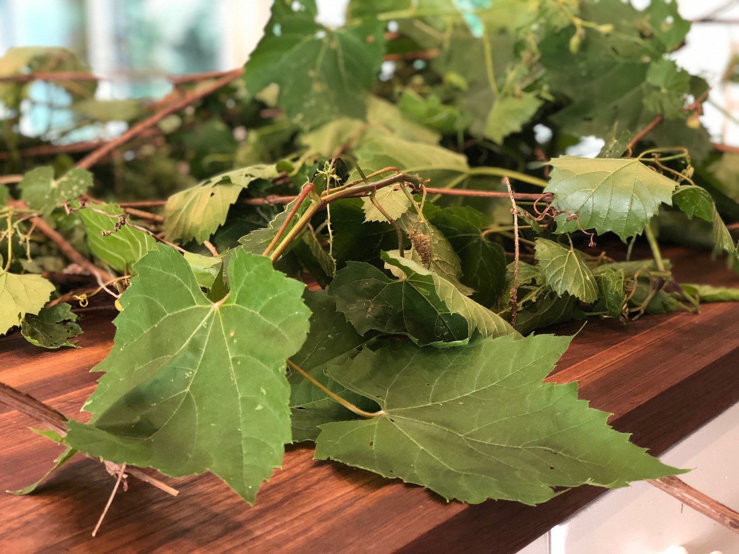 How to Preserve and Harvest your own Grape Leaves