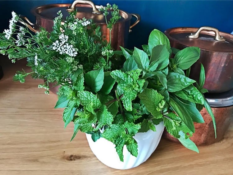 A Beginner's Guide to Fresh Herbs and Spices