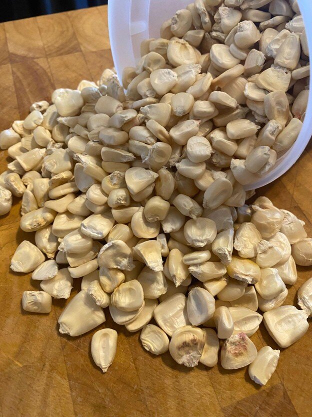 Nixtamalized Corn (Hominy)