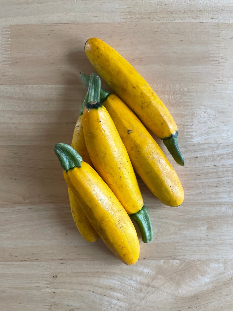 Box of Plenty: The Many Benefits of a CSA