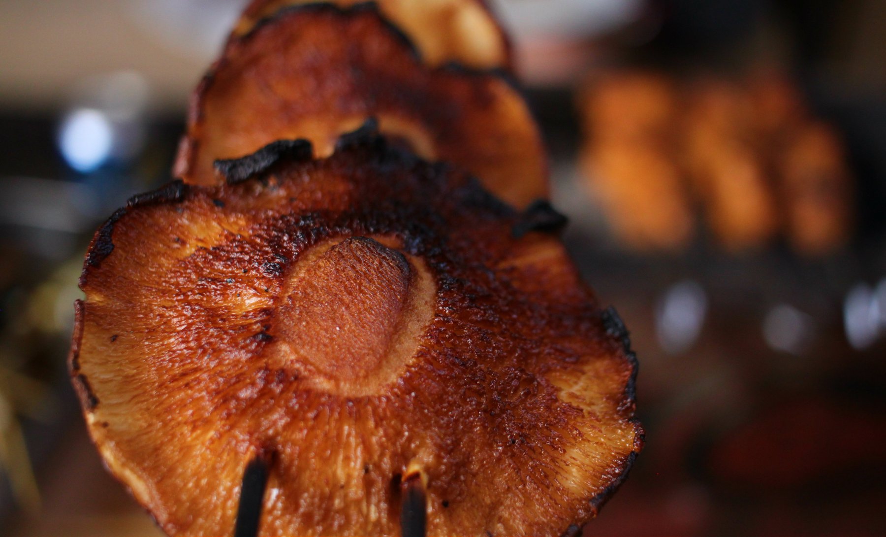 Killer Kebabs on a Homemade Hibachi