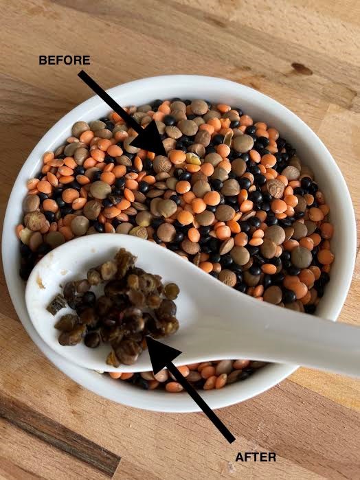 Know your Lentil Power