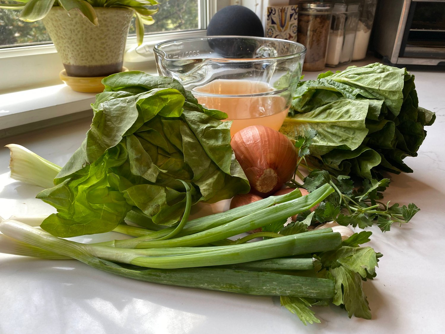 Celebrate the Arrival of Spring with Lettuce Soup