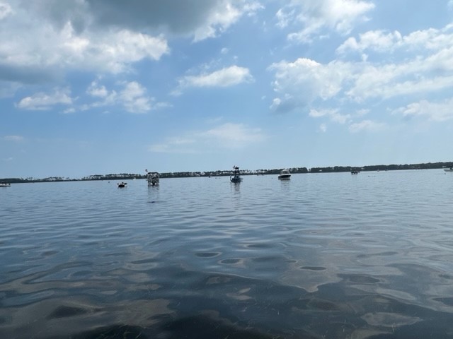 Searching for Scallops