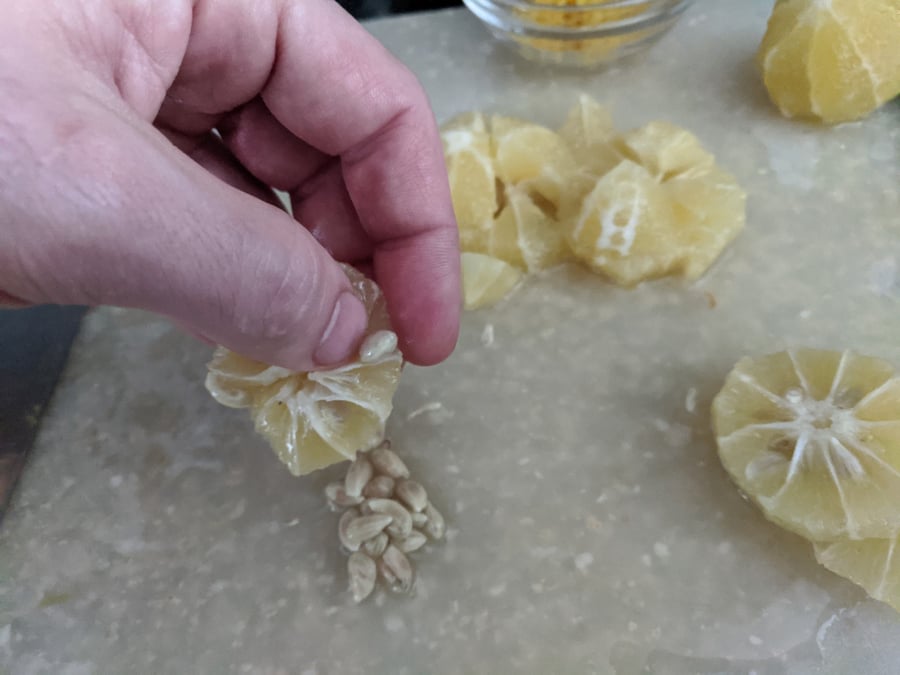 Lemon Liquidation: How to Make Lemon Vodka