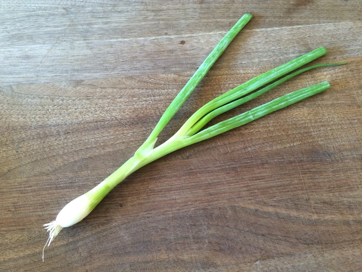 A Beginner's Guide to Fresh Herbs and Spices
