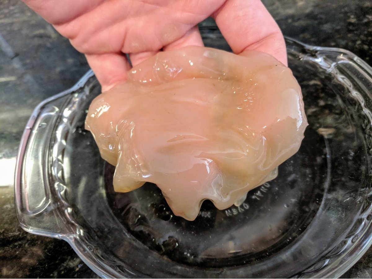 How to Grow a SCOBY and make Kombucha at Home