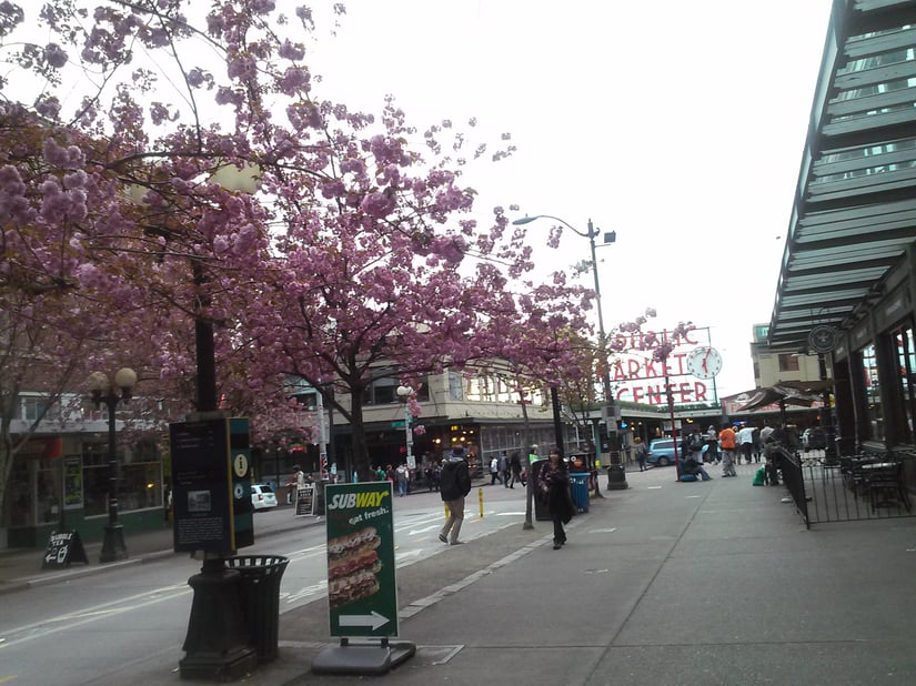Springtime in Seattle for Cooking Inspiration