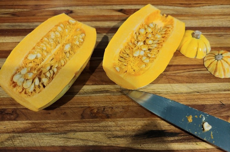 Fall Squash Combo Favorite