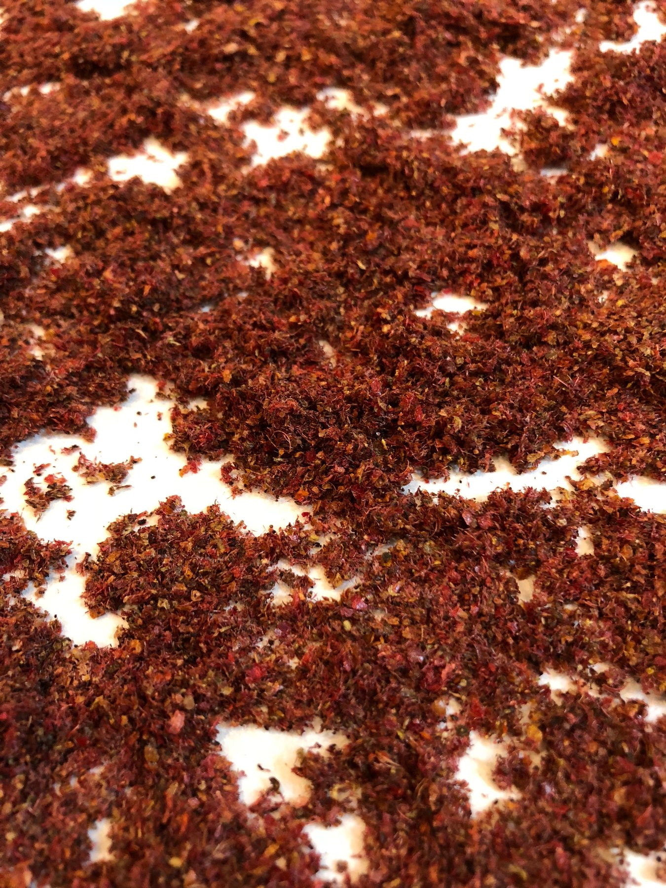 Sumac Foraging and Preparation