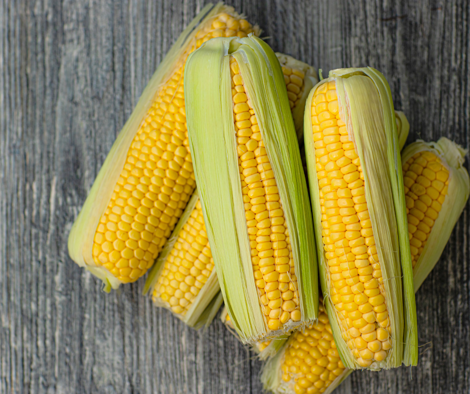 Tips for Handling Holidays with Celiac Disease