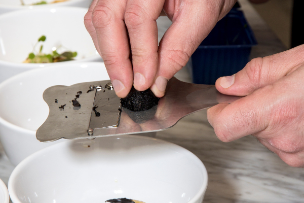 The History of the Truffle