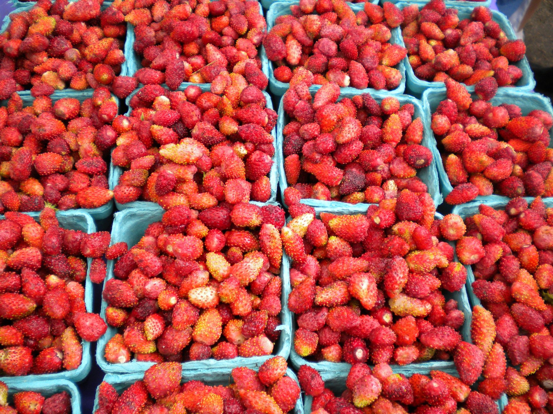 Perfectly Poached Fruit