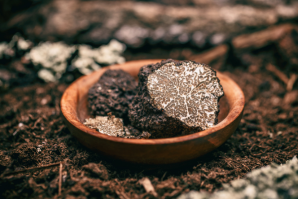 The History of the Truffle