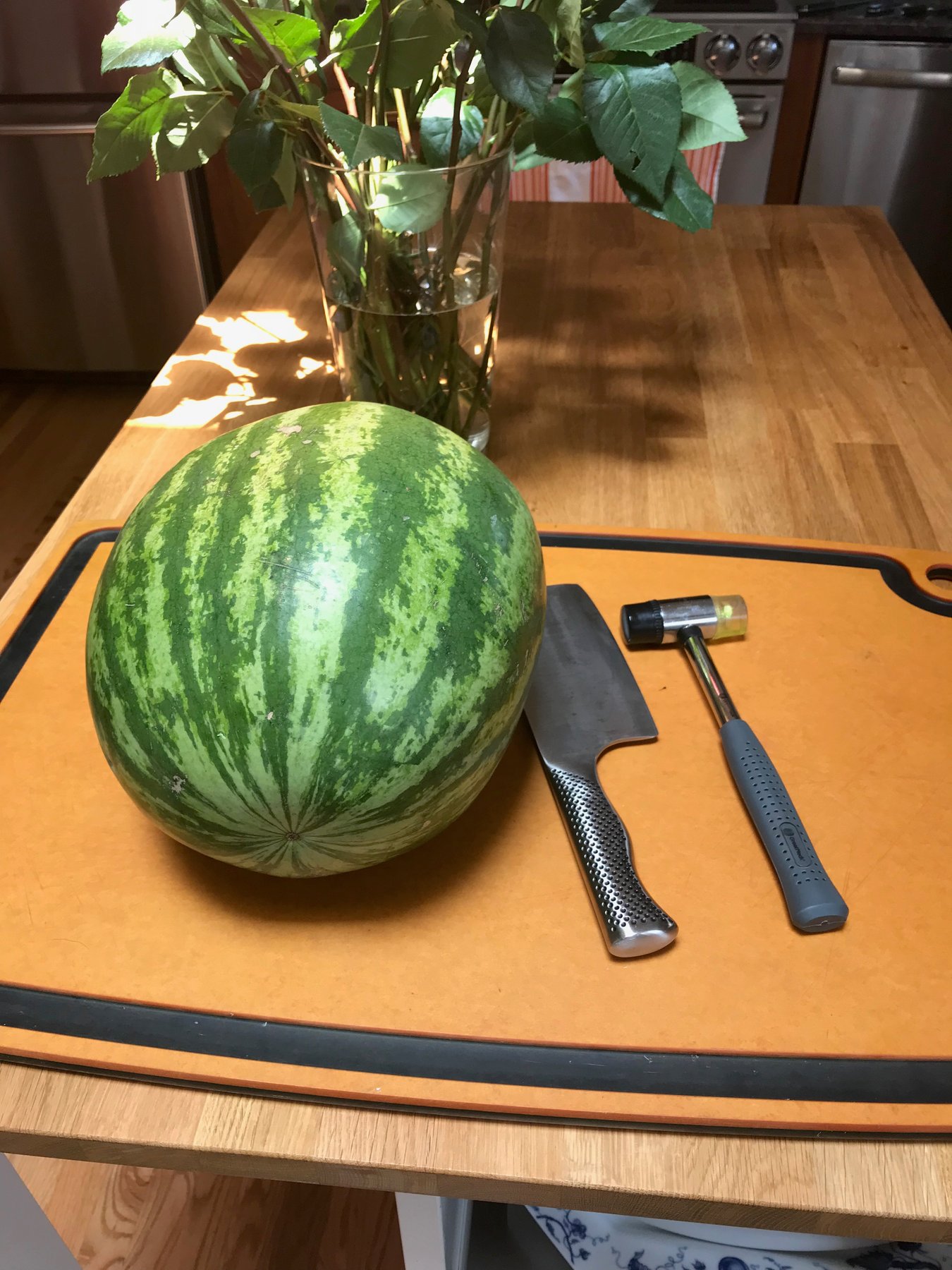 The Knives You Never Knew You Needed