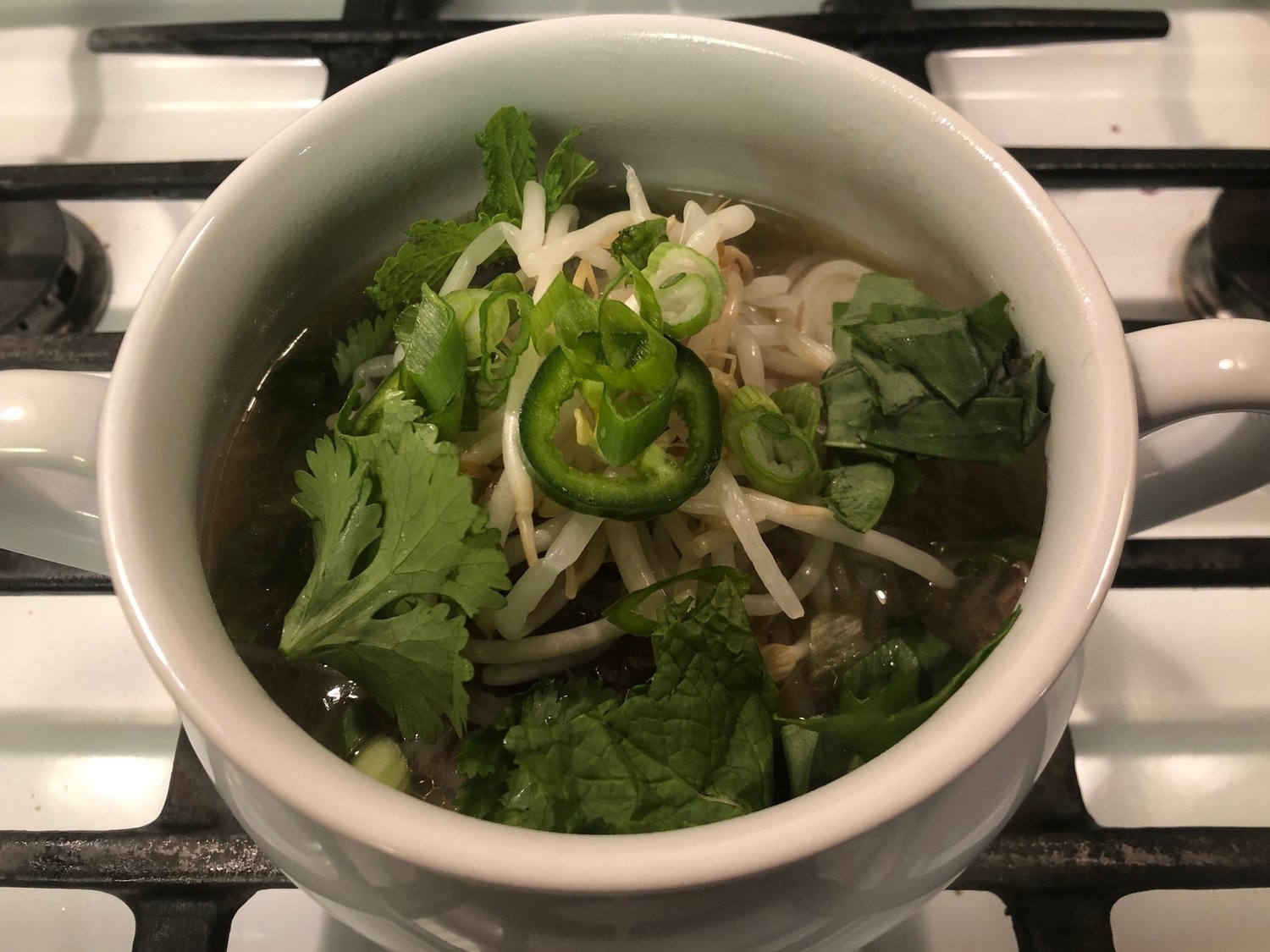 Pho in Minutes Not Hours